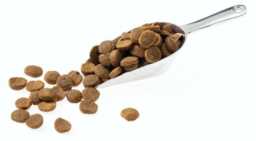 Why Is Dog Food Called Kibble? - Dog Desires